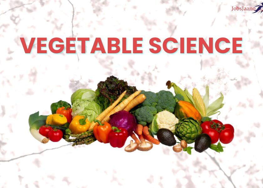 Vegetable Science Multiple Choice Questions and Answers | Olericulture ...